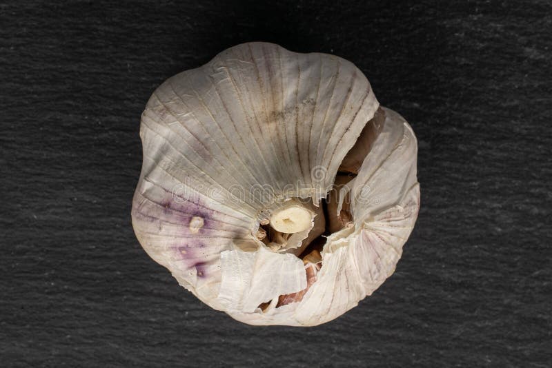 White Aromatic Garlic on Grey Stone Stock Image - Image of fleshy ...