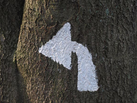 White Arrow Painted on a Tree Trunk Stock Image - Image of pointing ...