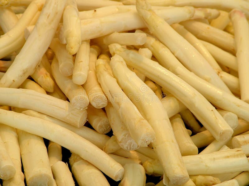 White Asparagus stock image. Image of food, sauce, asparagus - 2296957