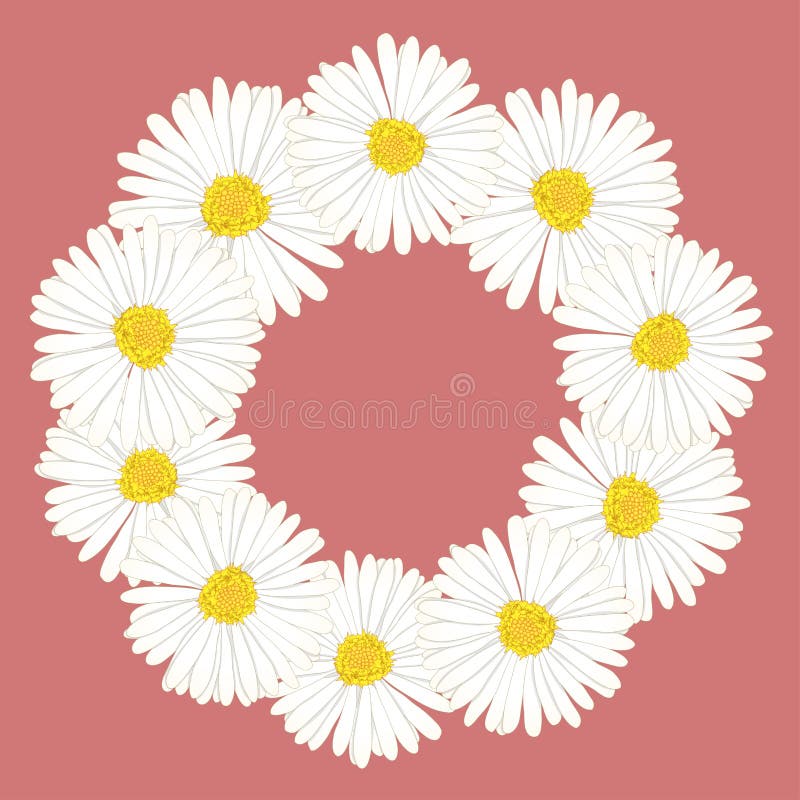 Aster, Daisy Flower Outline Banner Card Border. Vector Illustration ...