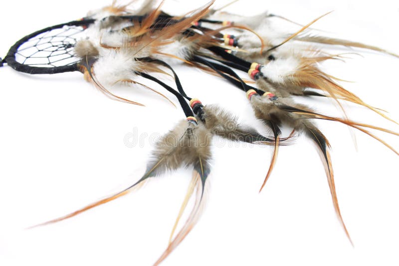 White Background with Beige Feathers Stock Photo - Image of natural ...