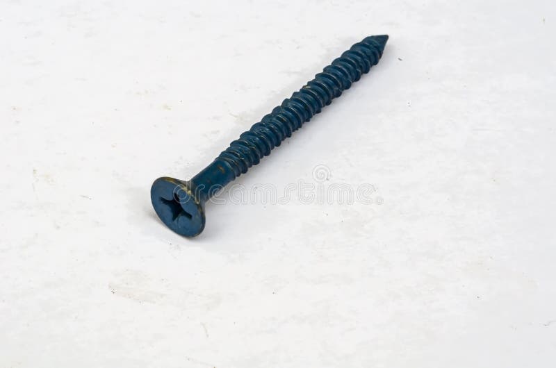 Flat Head Head stock photo. Image of closeup, phillips - 348579698