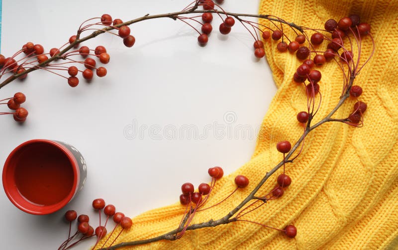 White Background with Branches with Small Apples and Yellow Sweater and ...