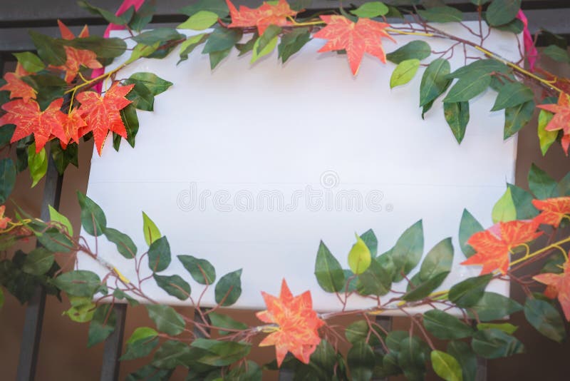 White Background Framed between Branches with Colorful Autumn Leaves ...