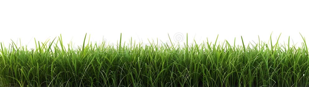 White Background with Grass Footer, Grass Footer on White Background ...