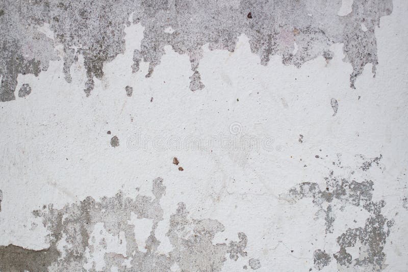 White Background Gray Old Plaster Wall Texture Stock Photo - Image of plaster, grey: 134715460