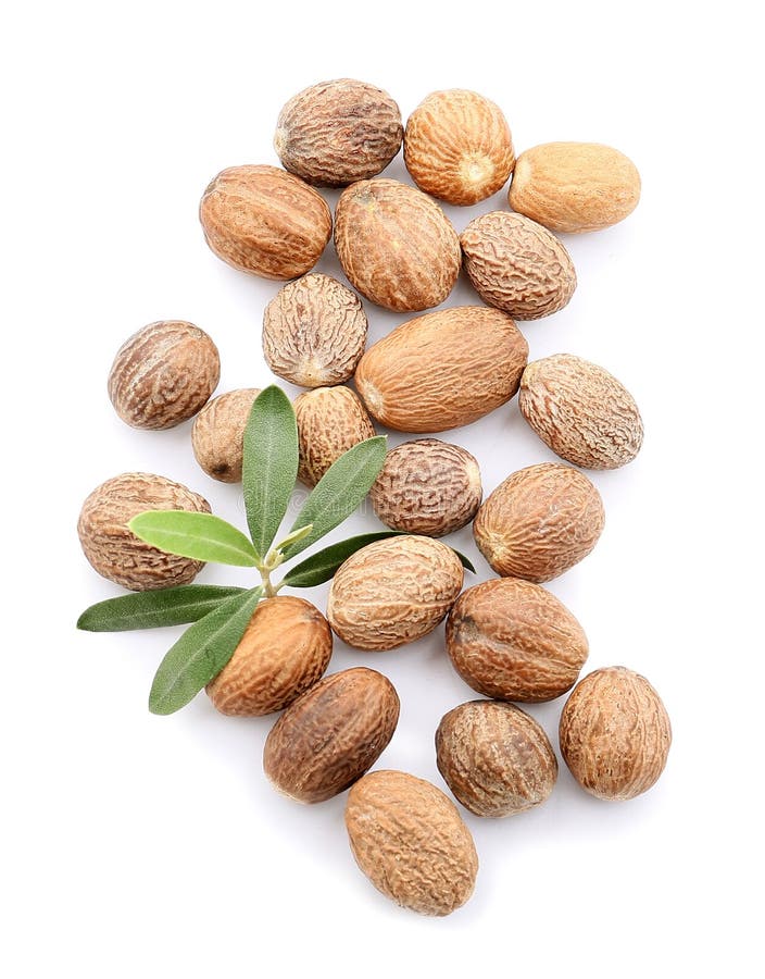 Heap of Shea Nuts on White Background Stock Image - Image of leaves ...