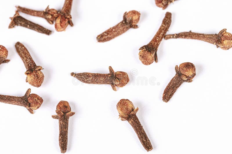 A White Background Showing a Pile of Nut Shaped Tree Bark Stock Photo ...
