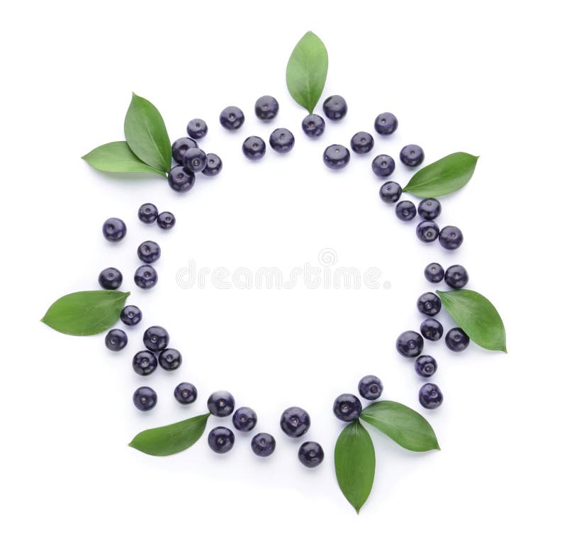 Frame Made of Fresh Acai Berries on White Background Stock Photo ...