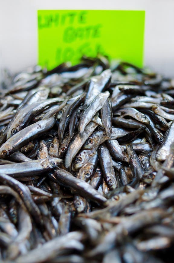 White bait at market stock image. Image of tiddler, fresh - 20892297