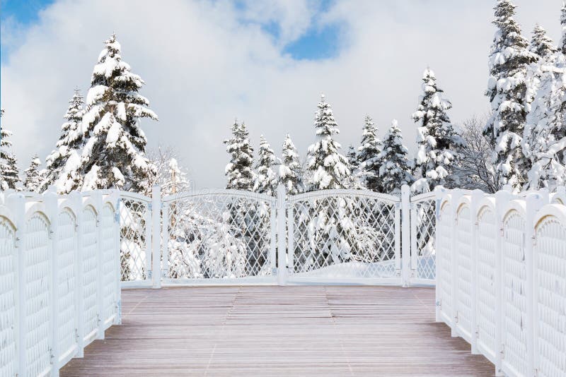 White Balcony with Perspective Wood Floor Nature Background Stock Image ...