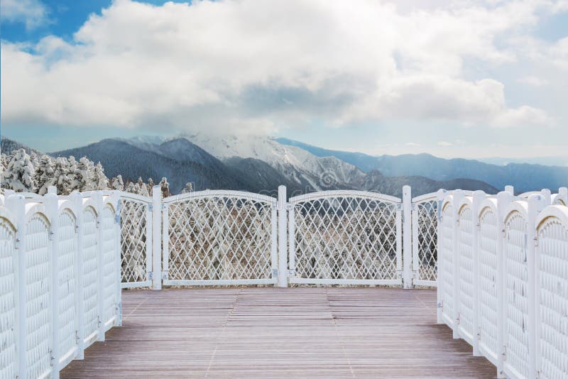 White Balcony with Perspective Wood Floor Nature Background Stock Image ...