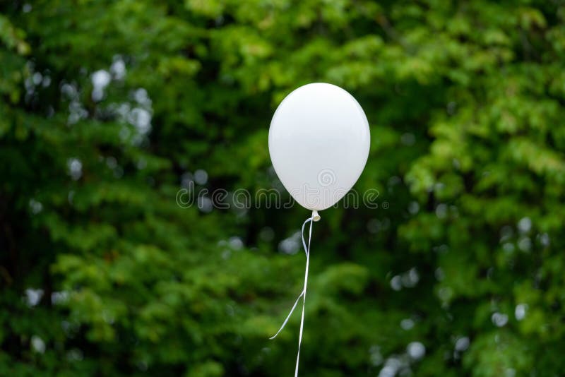 White Balloon Floating in the Air. Helium Balloon in the Nature Stock ...