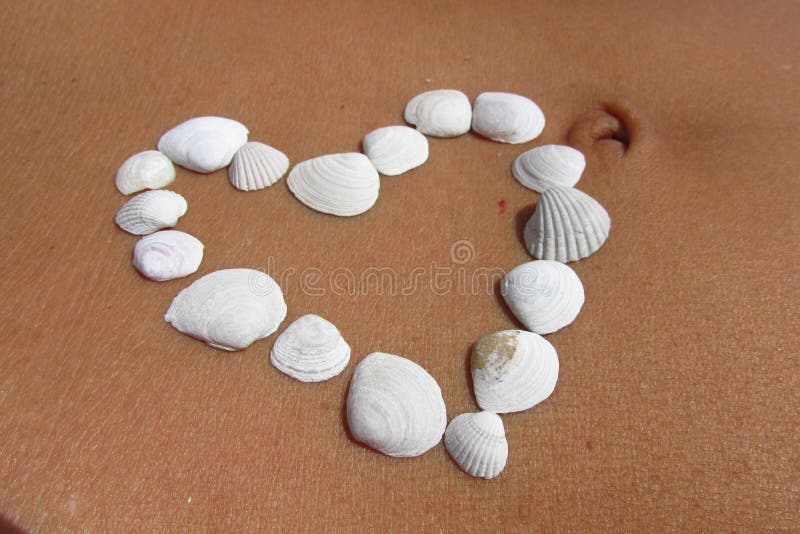 Baltic Seashells on the Skin 3. BaÅ‚tyk. Stock Image - Image of heart ...