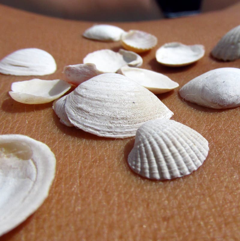 Baltic Seashells on the Skin 6. BaÅ‚tyk. Stock Photo - Image of sunbath ...