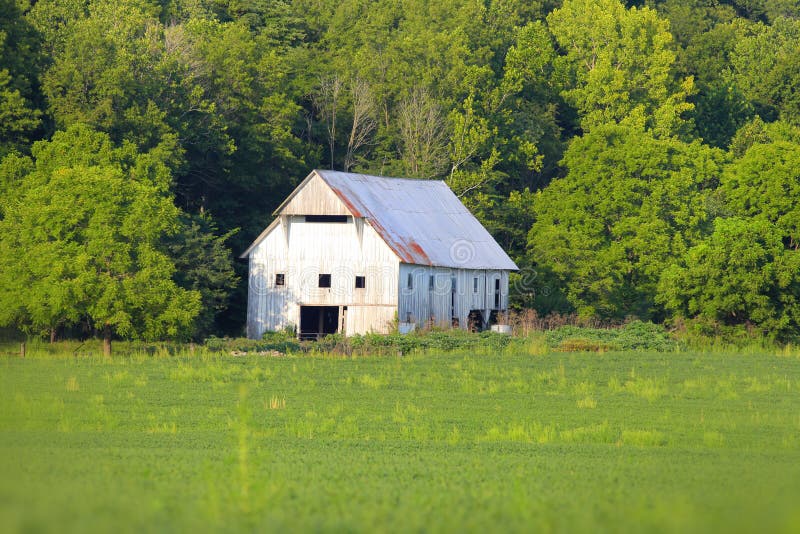 White Barn in Rural Indiana Stock Photo - Image of cupola, rural: 90765406