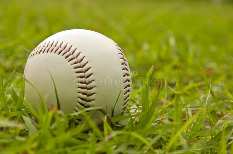 White baseball stock image. Image of softball, game, practice - 31169097
