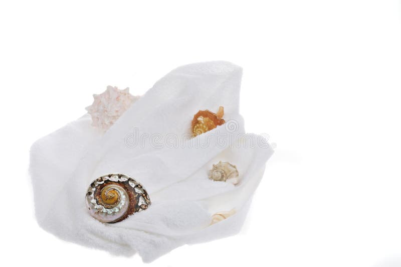 White Bath Towel with Sea Shells. Stock Image - Image of backgrounds ...