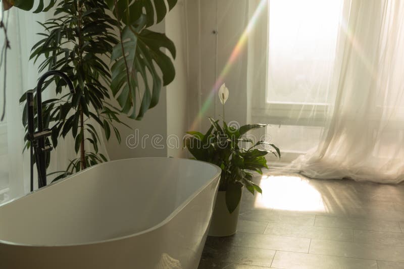 70+ Sunbeam window Free Stock Photos - StockFreeImages
