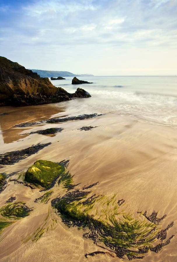 White Bay stock image. Image of ocean, natural, water - 9197481