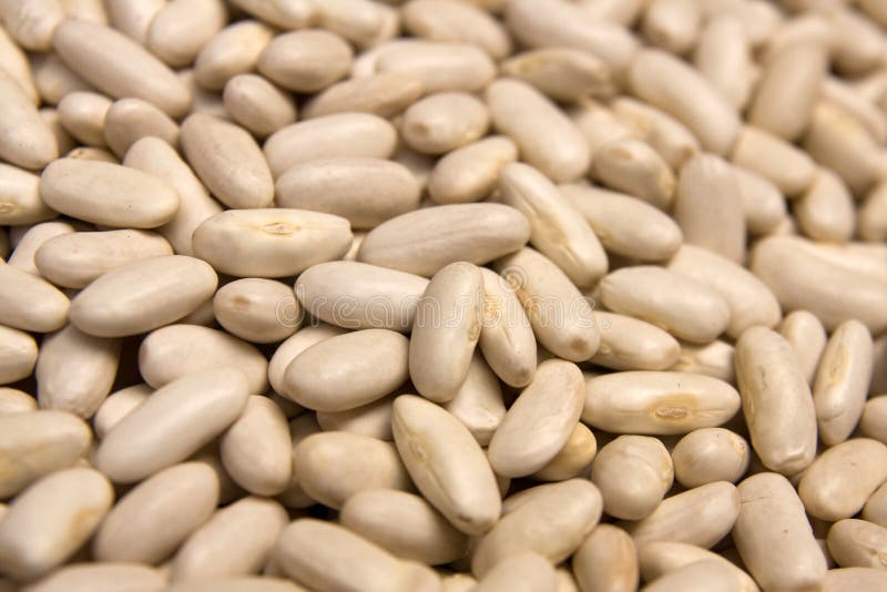 White bean stock photo. Image of pile, closeup, legume - 13698030