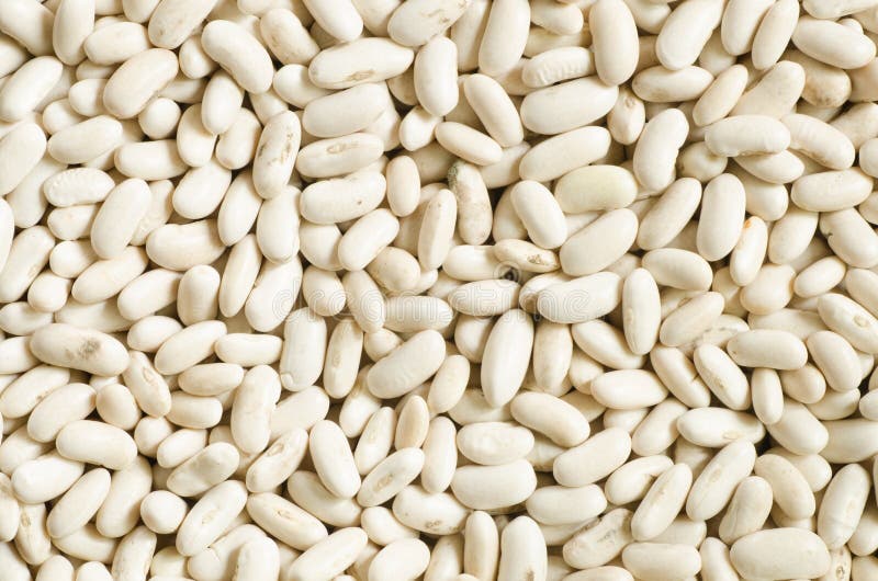 White bean seeds stock image. Image of health, haricot - 54546483