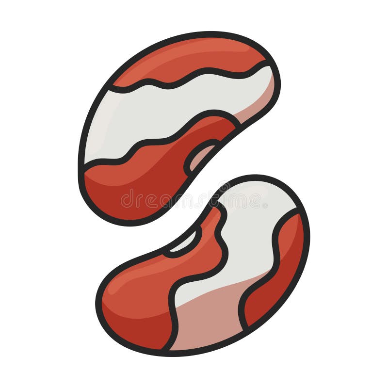 White Bean Vector Icon.Color Vector Icon Isolated on White Background ...