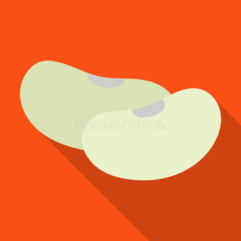 White Bean Vector Icon.Flat Vector Icon Isolated on White Background ...