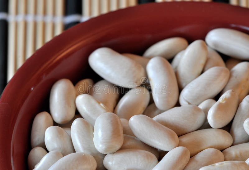White beans stock image. Image of proteins, food, agriculture - 14085167