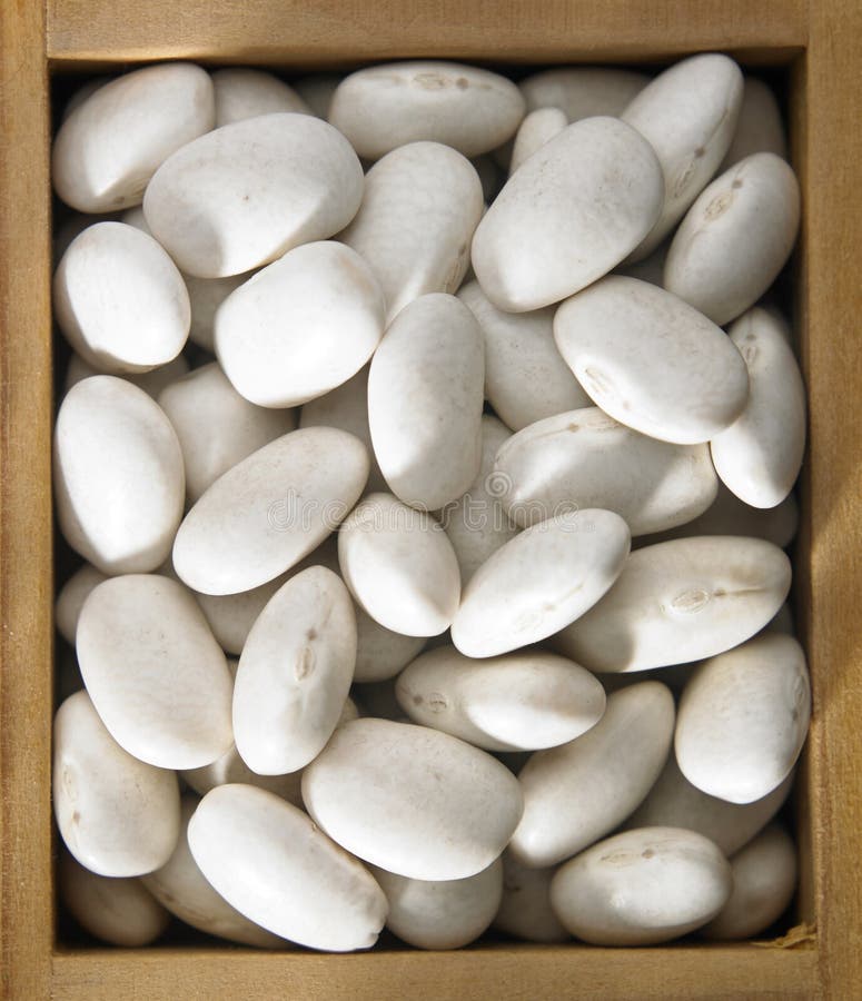 White beans stock photo. Image of organic, bean, healthy - 63814510