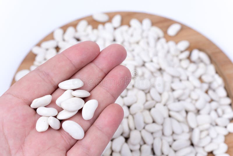 White Beans in the Hand Over Pile of Beans Stock Photo - Image of ...