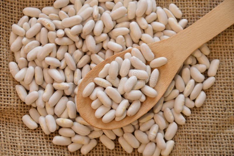 White beans legumes stock image. Image of ingredient - 107700221