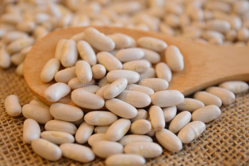 White beans legumes stock photo. Image of beans, white - 107700586