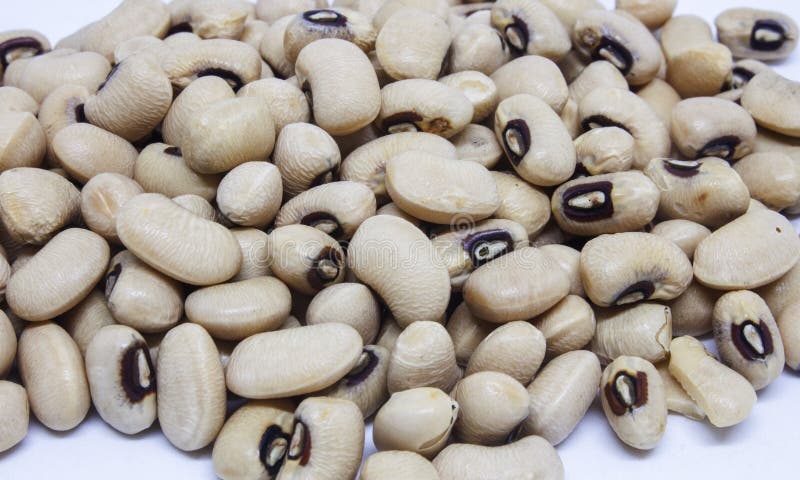 White beans stock photo. Image of compound, bean, cuisine - 102237826