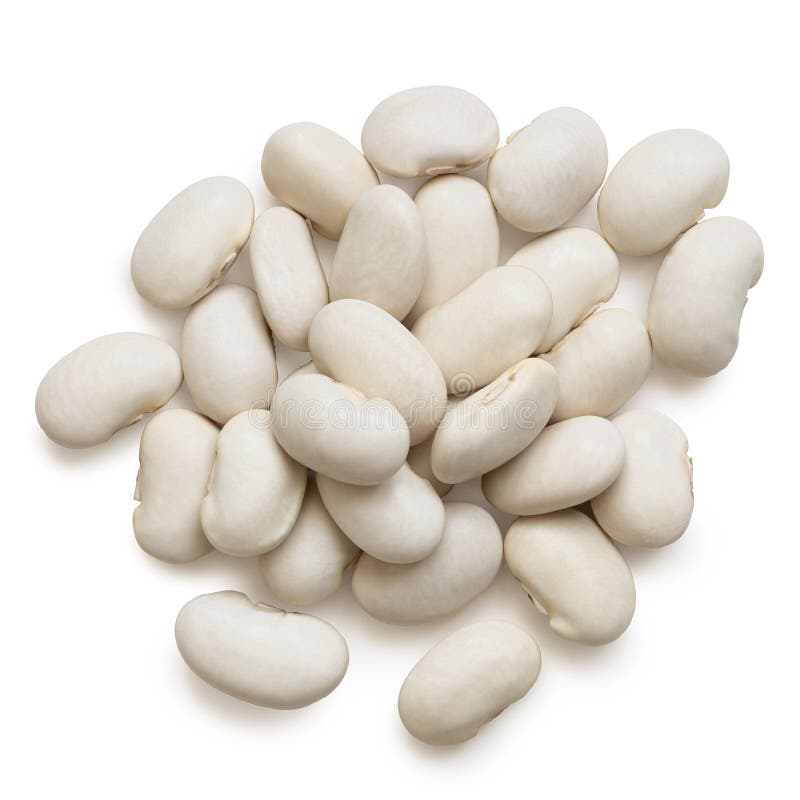 White beans stock photo. Image of lunatus, white, heap - 199805840