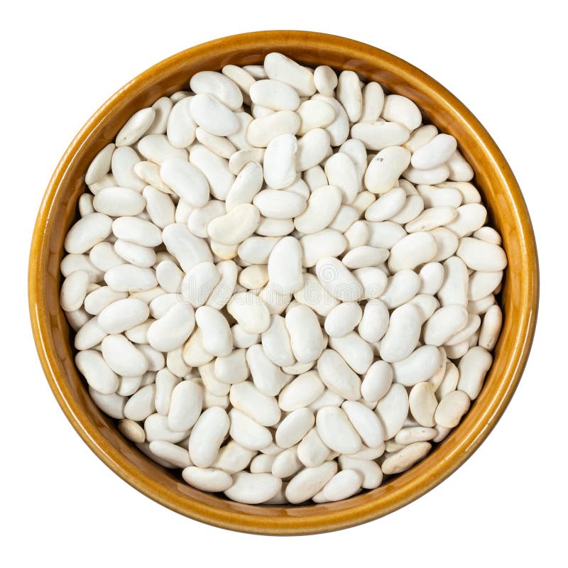 White Beans in Round Bowl Cutout on White Stock Photo - Image of ...