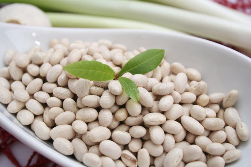 White beans stock photo. Image of beans, dried, healthy - 37466680