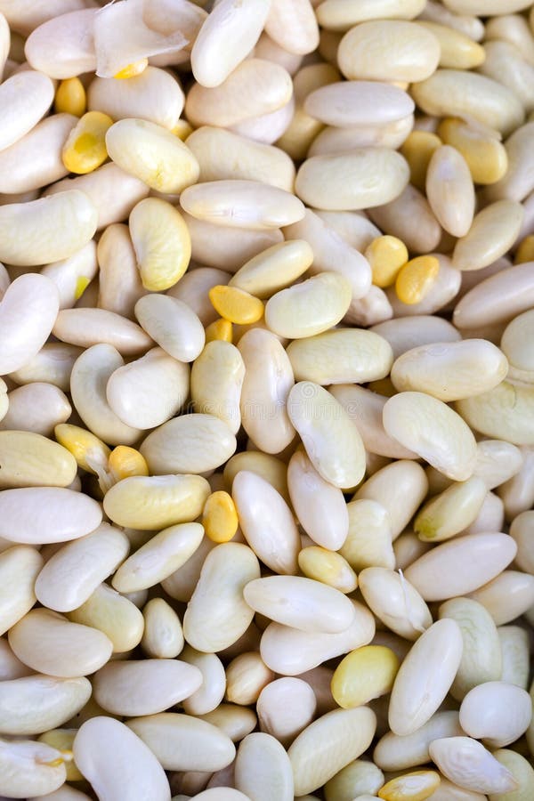 White beans. stock image. Image of grain, cuisine, healthy - 45206555