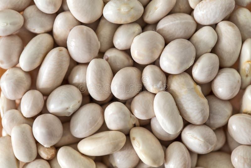 White Beans Texture Isolated. Stock Image - Image of components ...
