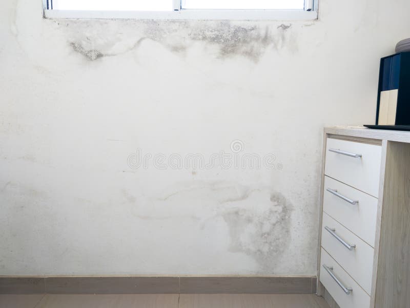 White Bedroom Wall with Mold and Fungus Problem. Moisture Problem Stock ...