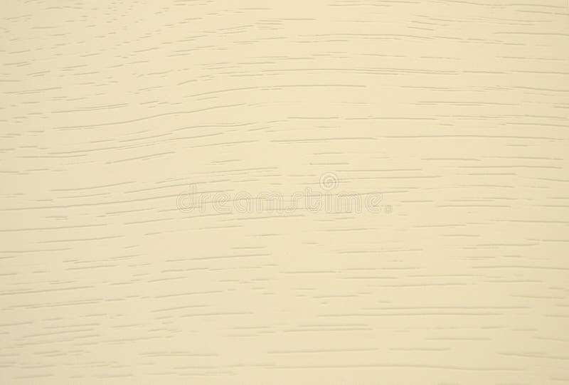 White Beech, Polished Natural Wood Surface with Natural Veins Stock ...