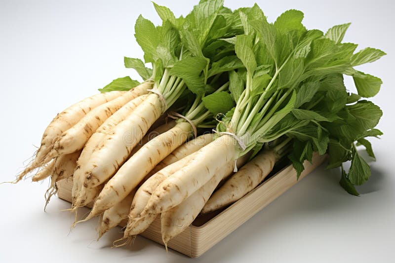 White Beet Root with Green Leaves Isolated on White Background. Stock ...