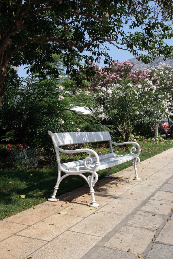 White bench stock photo. Image of vacation, bench, nature - 10849256