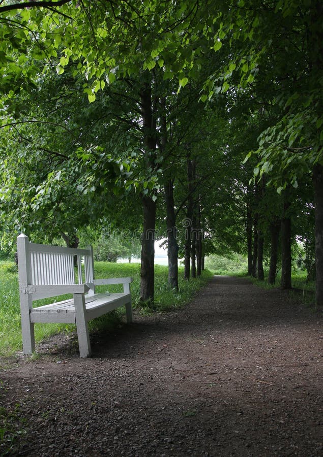 White bench in the park stock image. Image of nature - 12621061