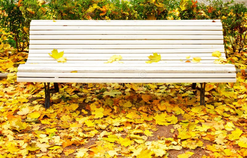 White bench in park stock image. Image of colors, october - 14794019