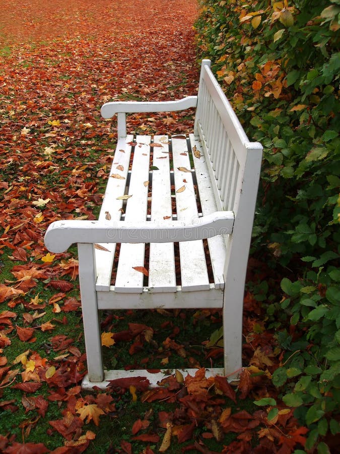 White bench in Park stock photo. Image of garden, park - 18740130