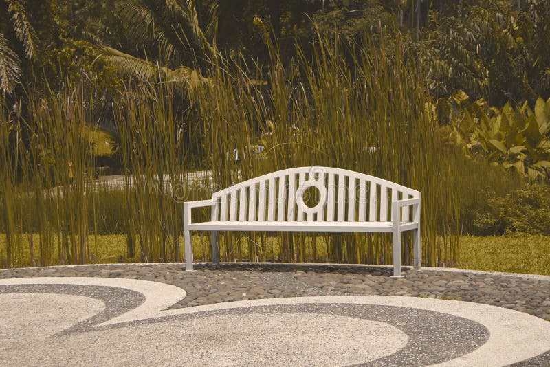 A White Bench in a Park is Taken from the Front Angle Stock Image ...