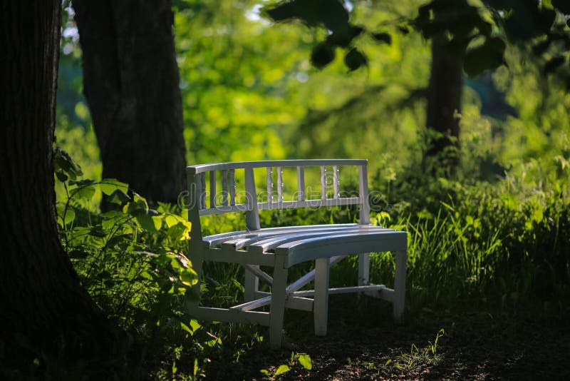 White bench in the park stock photo. Image of garden - 367101634