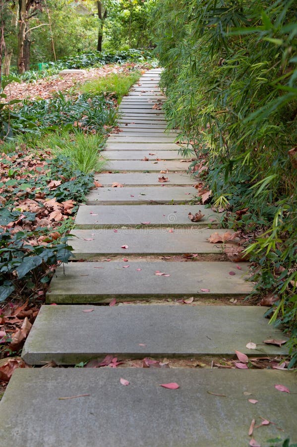 Path in the park stock photo. Image of lawn, path, stone - 296534534