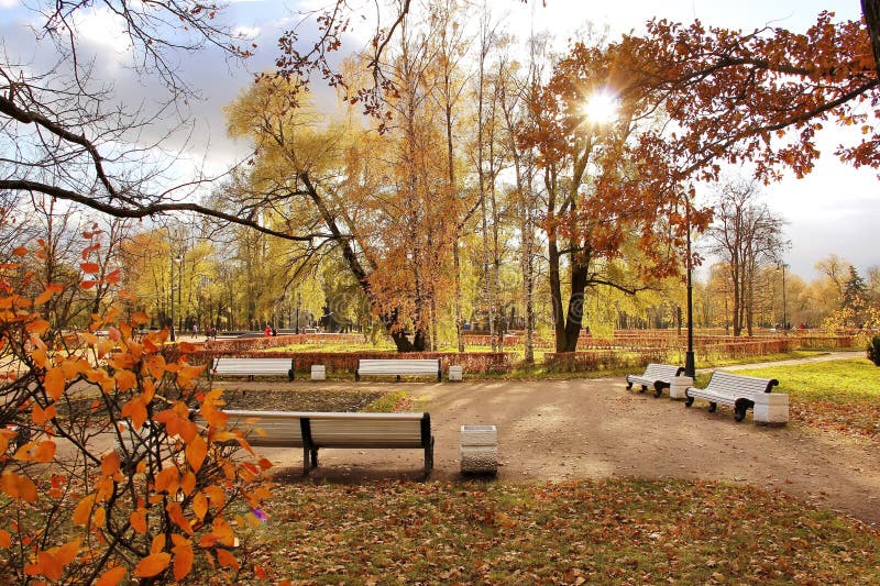 White Bench Sunny Day in Autumn City Park Stock Photo - Image of color ...